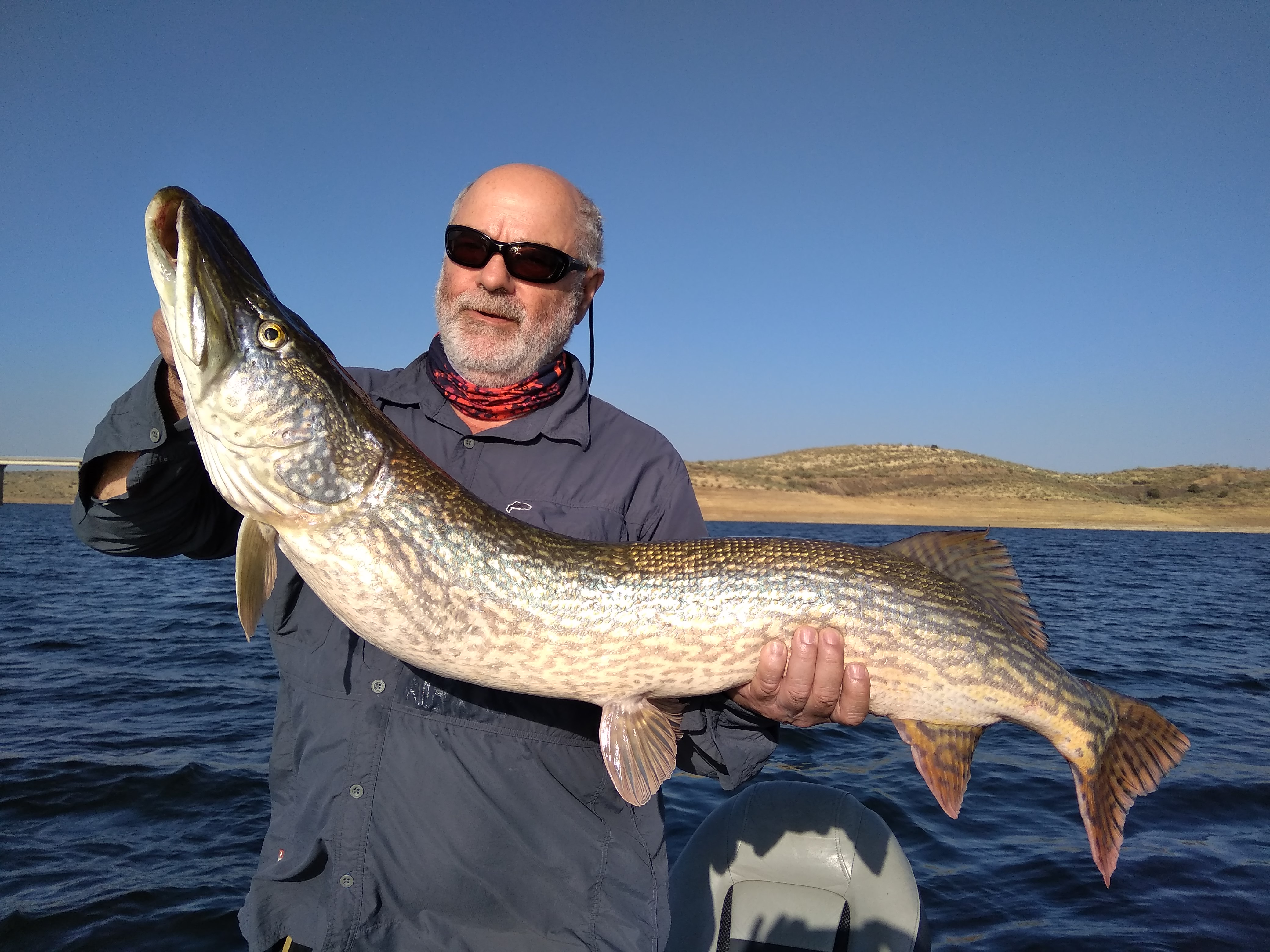 Gros Brochet Extremadura espagne (199) - EXTREMADURA PROFISHING