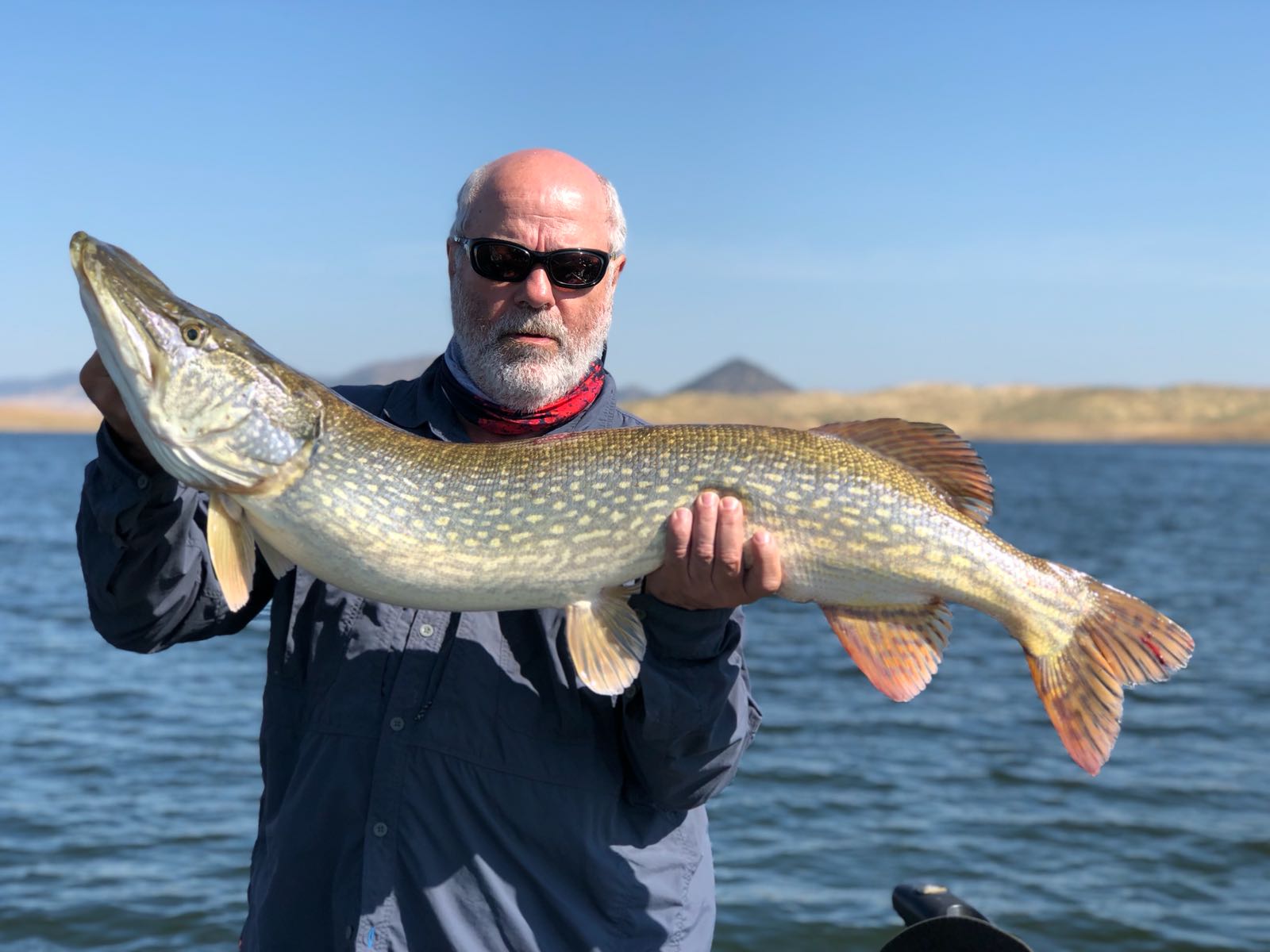 Gros Brochet Extremadura espagne (328) - EXTREMADURA PROFISHING