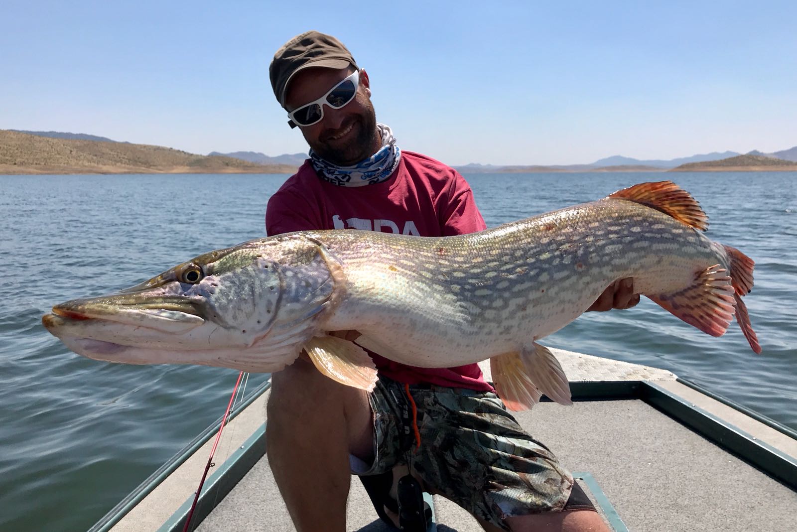 Gros Brochet Extremadura espagne (350) - EXTREMADURA PROFISHING